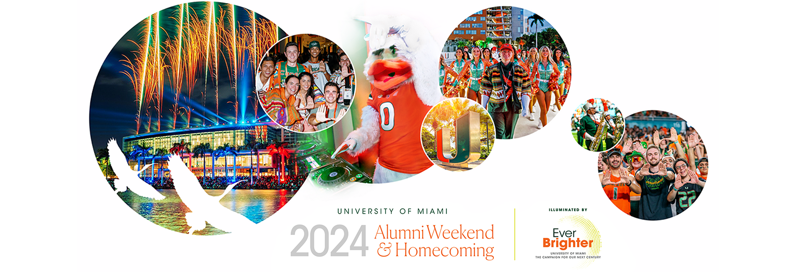 Alumni + Friends | University of Miami