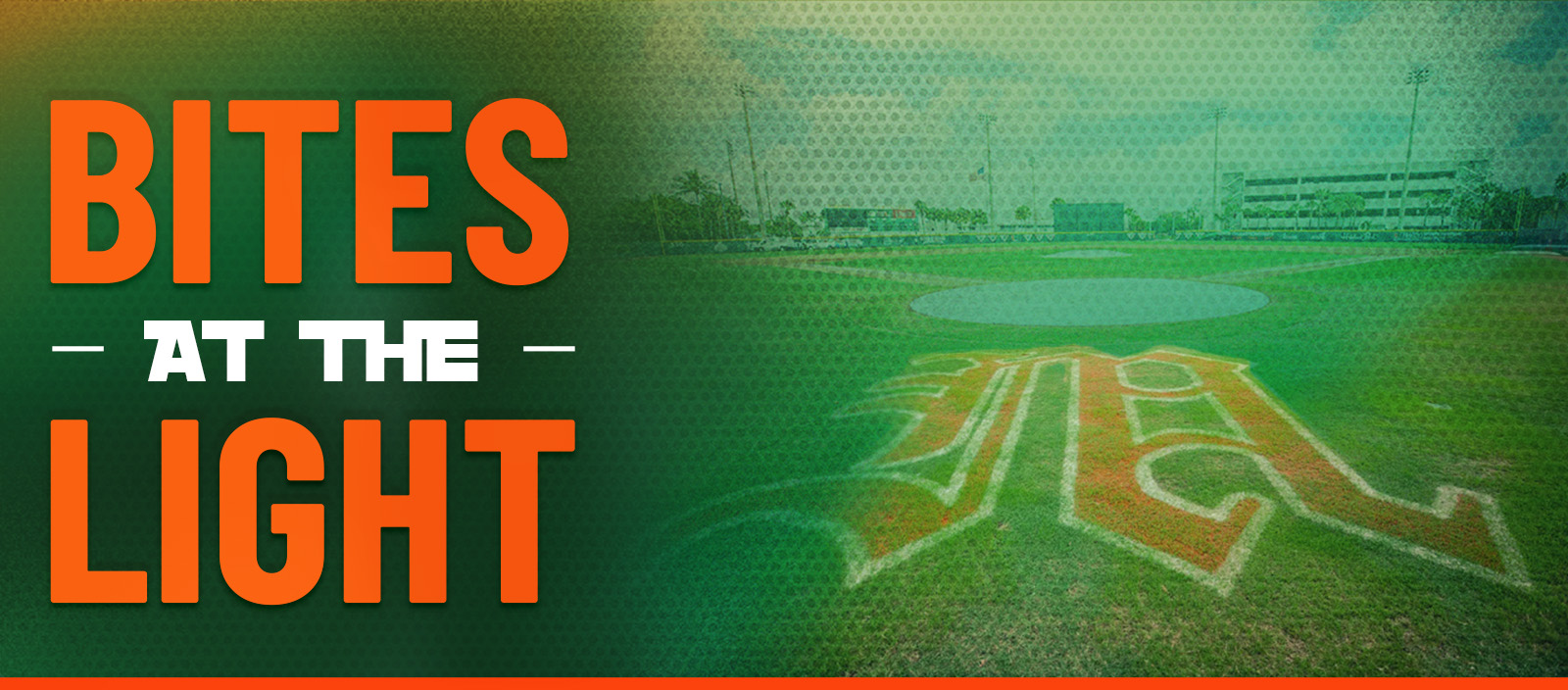 Alumni Baseball Pre-Game Celebration| University of Miami Development ...