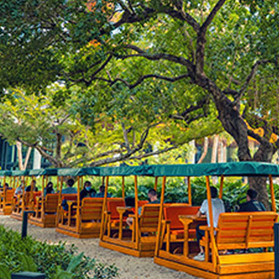 University of Miami Alumni Association | University of Miami ...